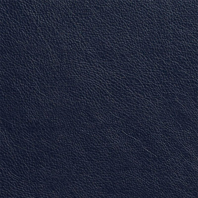 navy-bor – Dream Wardrobe